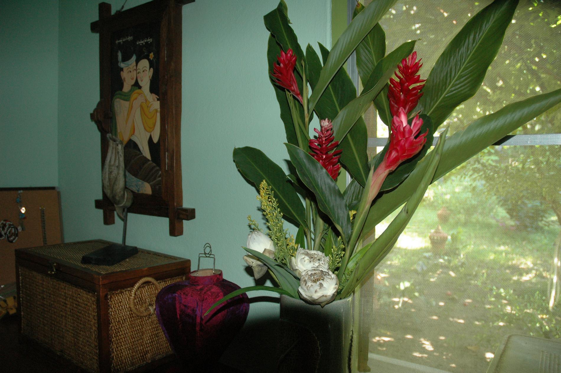 False Bird of Paradise.