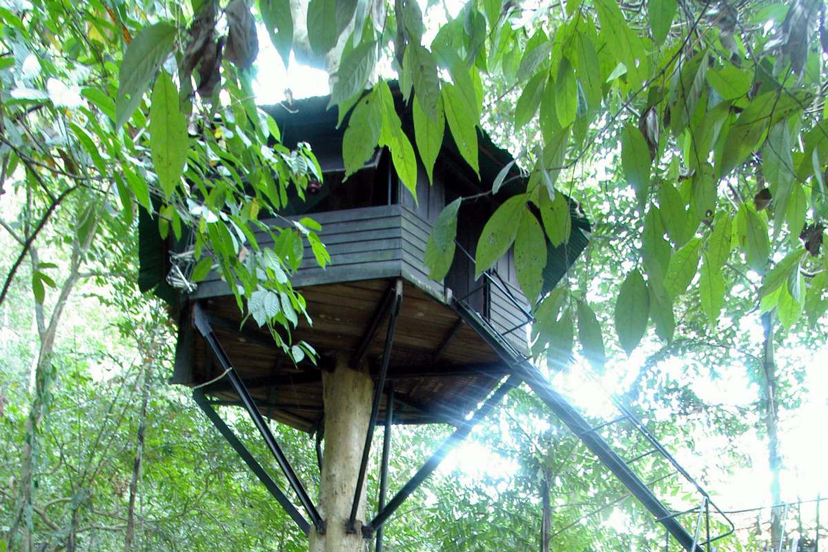 Sturdy metal struts attach the tree house to the tree.